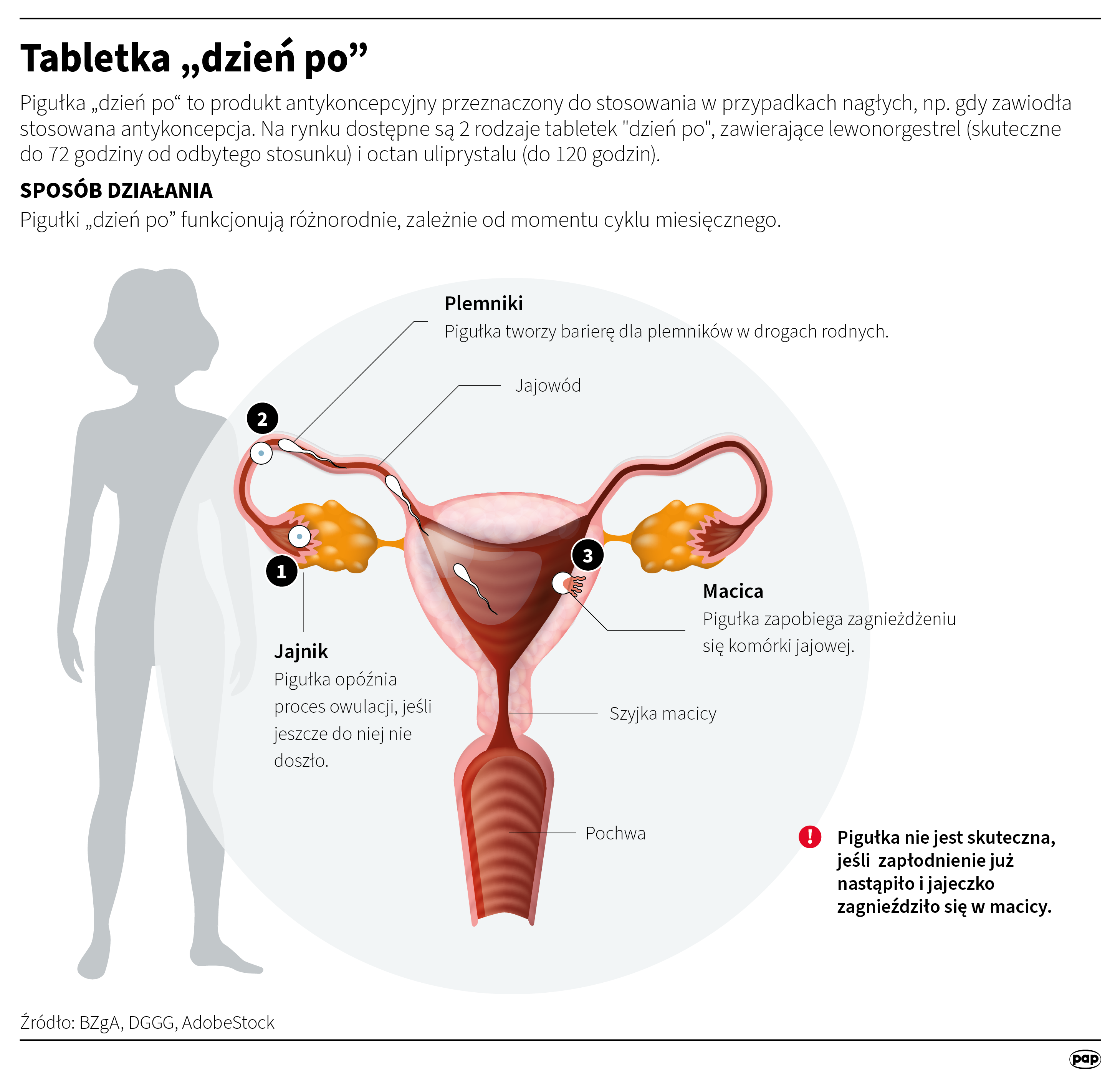 Leszczyna: w ubiegłym roku 15-latki stanowiły 2 proc. korzystających z tabletki "dzień po ...